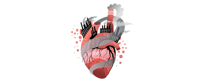 Air Pollution - Heart Related Hazards | 20% People Affected